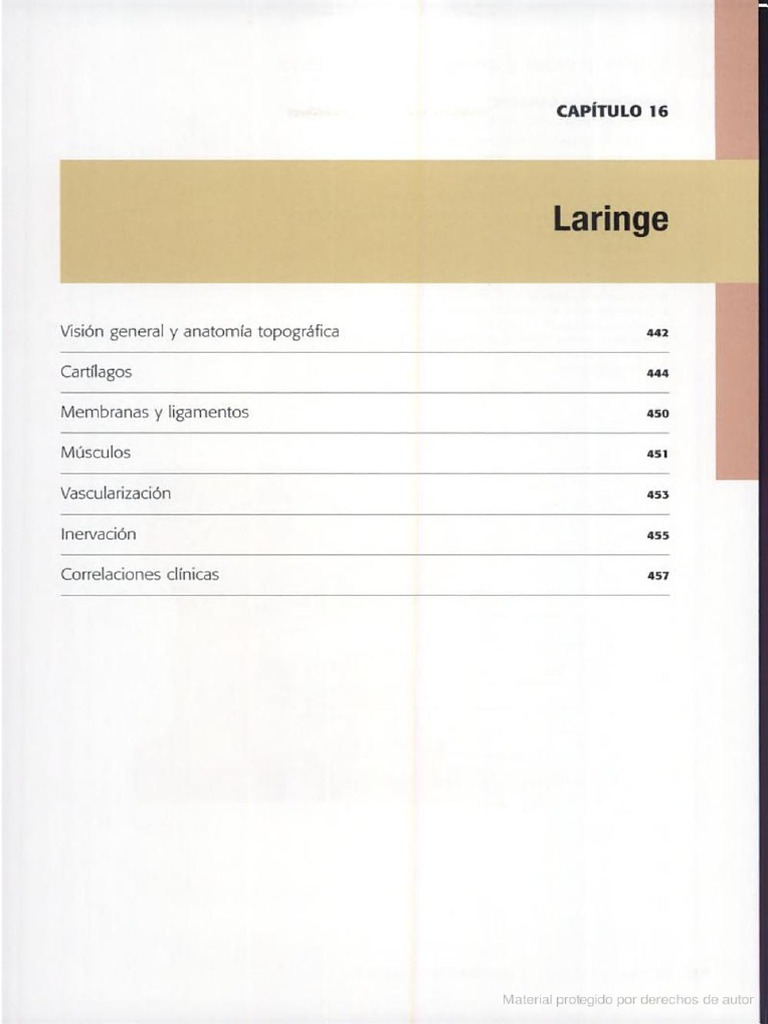 Clase 2. - Laringe (Netter. Anatomia de Cabeza y Cuello para ...