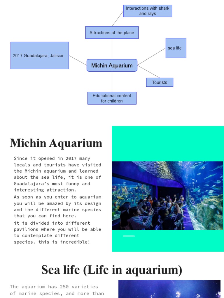 Aquarium Michin | PDF | Science & Mathematics