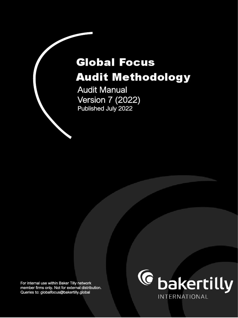 Audit Manual Version 7 | PDF | Financial Audit | Internal Control