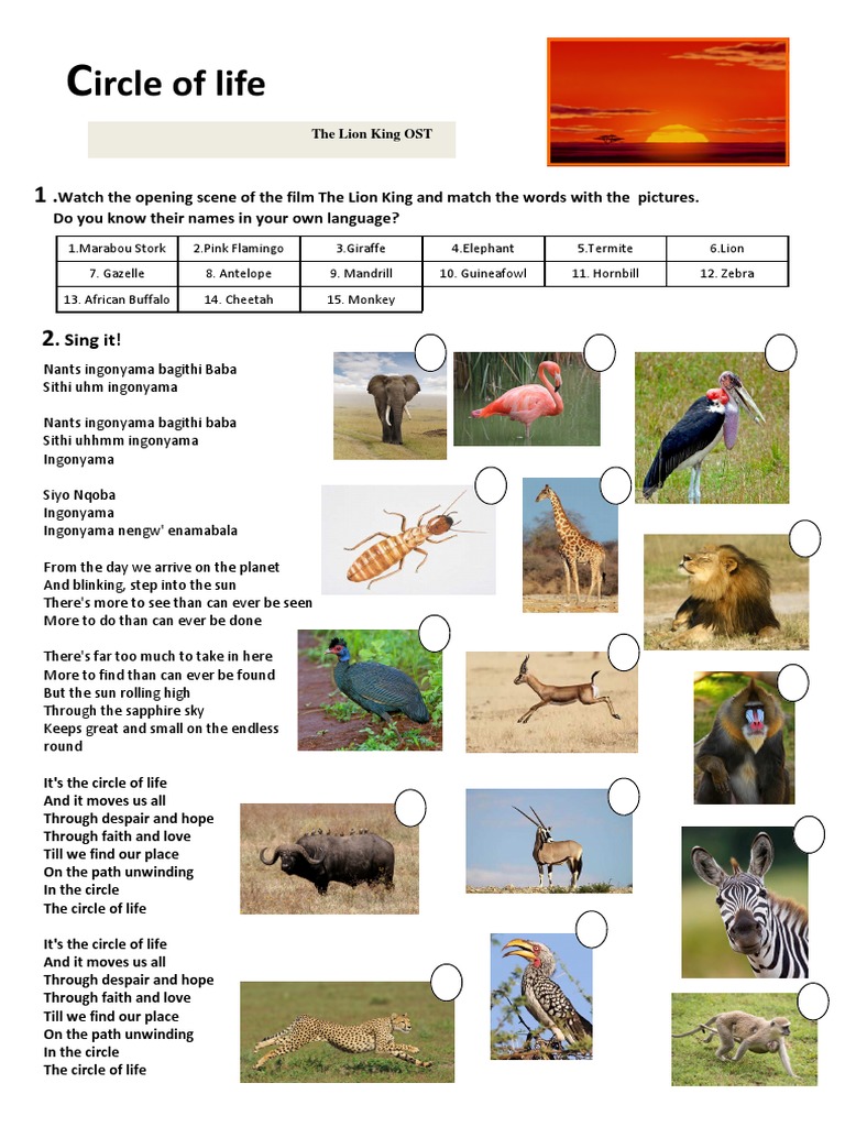 The Circle of Life: An Exploration of Biodiversity and the ...