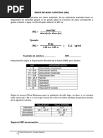 Factor Actividad y Factor Estres | PDF