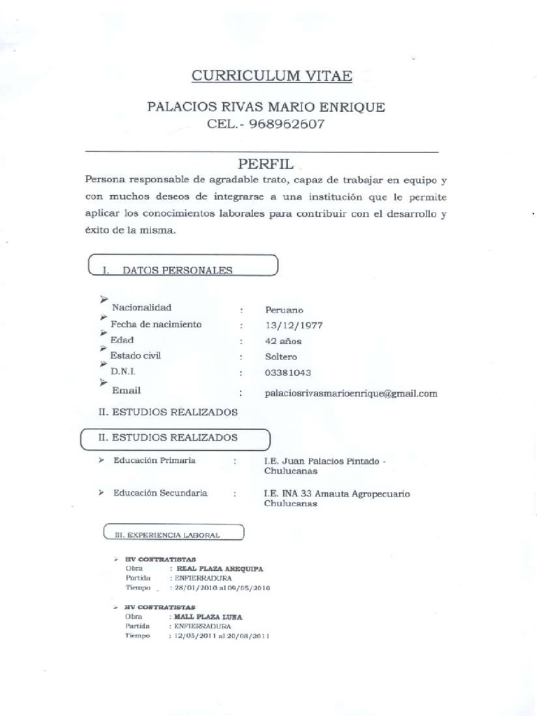 CV Mario Palacios Rivas | PDF