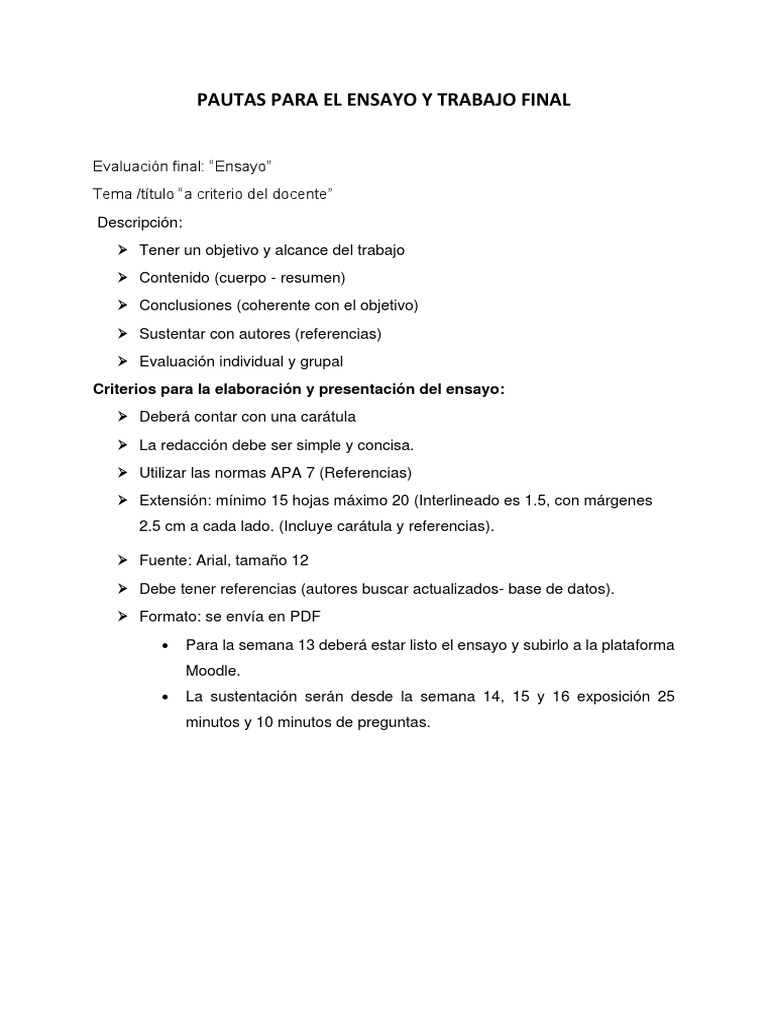 Pautas para El Ensayo | PDF