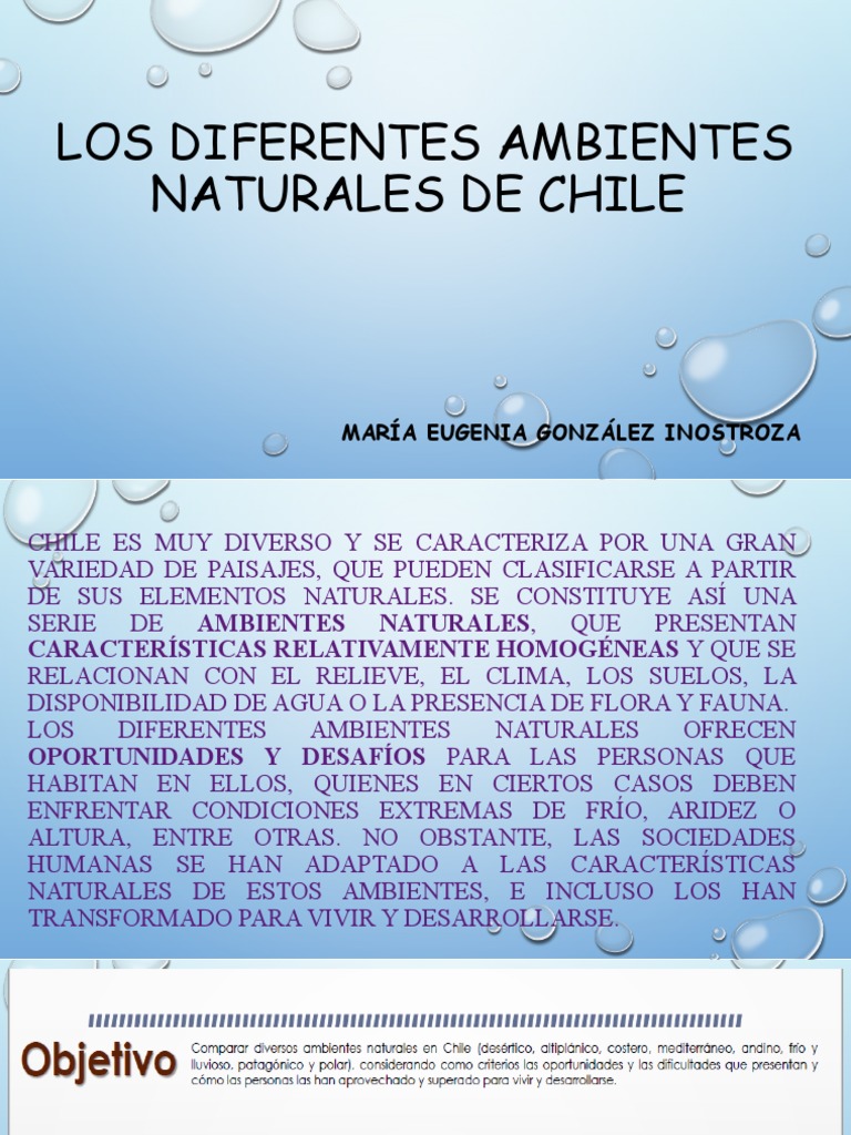 6° Año PPT Los Diferentes Ambientes Naturales de Chile | PDF | Chile ...