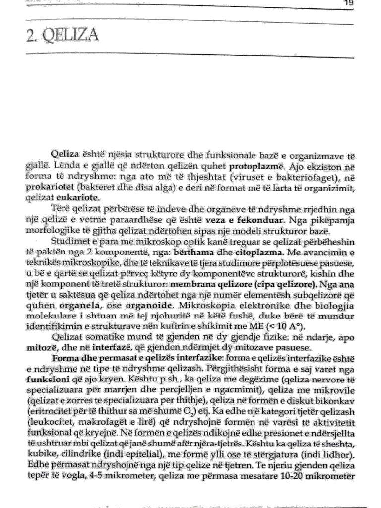 Leks. 2 - Qeliza | PDF