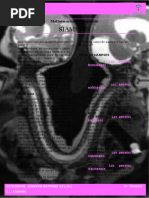 Anatomía Del Aparato Digestivo Del Cerdo | PDF | Sistema digestivo ...