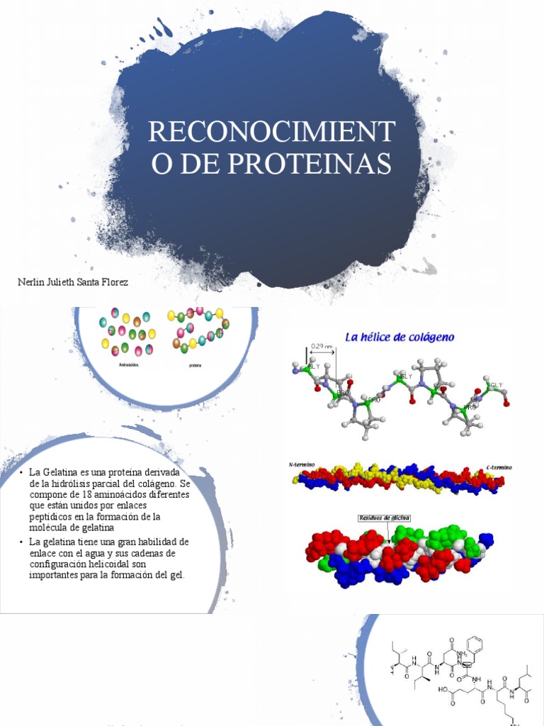 Reconocimiento Proteinas | PDF | Proteínas | Péptido
