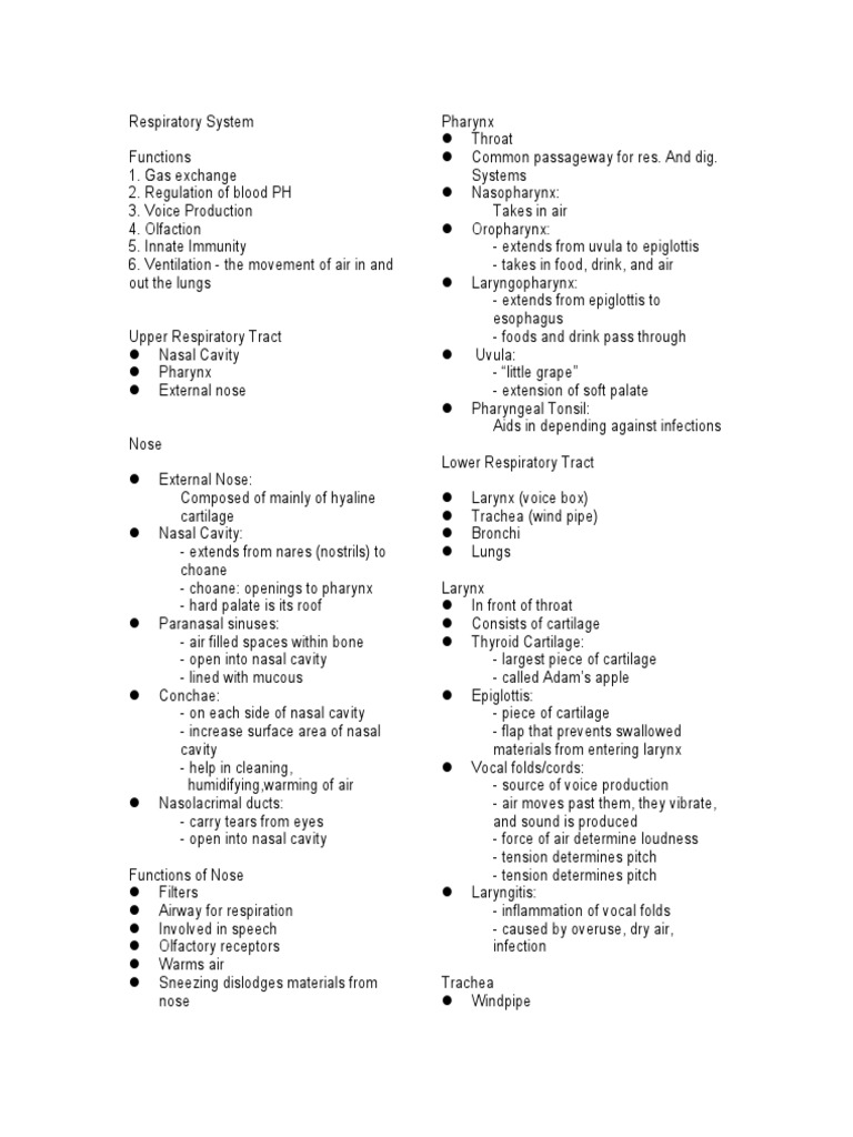 Respiratory System Pdf Lung Respiratory Tract