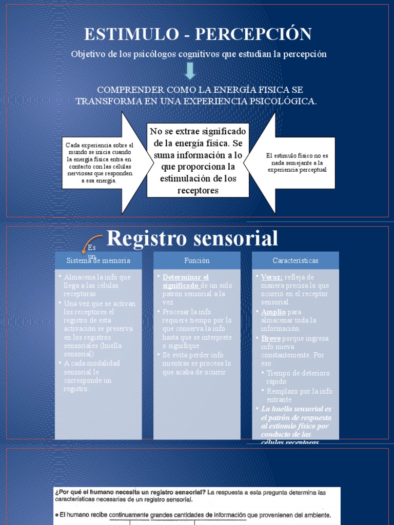 Percepción Clase 5 | PDF | Lóbulo occipital | Percepción visual
