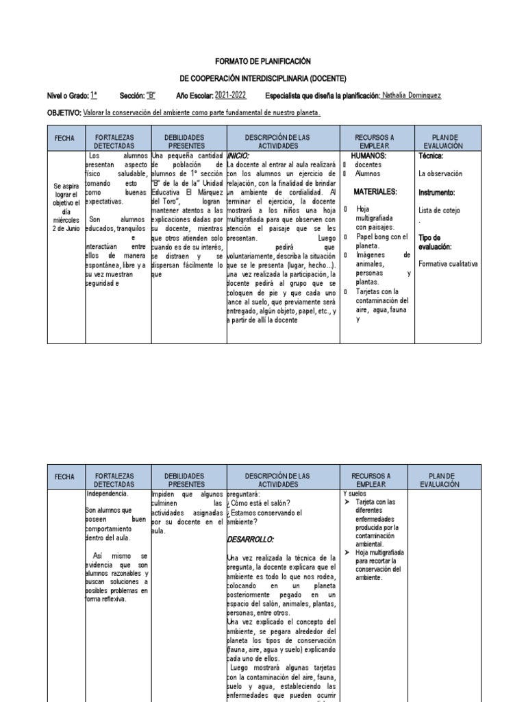 4 Planificacion Diaria de Clase E28093 Formato Docente 4 | PDF | Evaluación | Agua