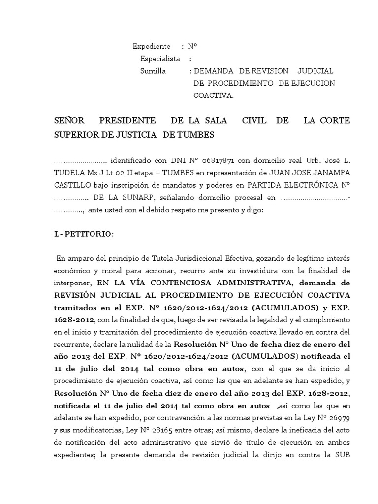 Demanda de Revision Judicial | PDF | Demanda judicial | Mandato
