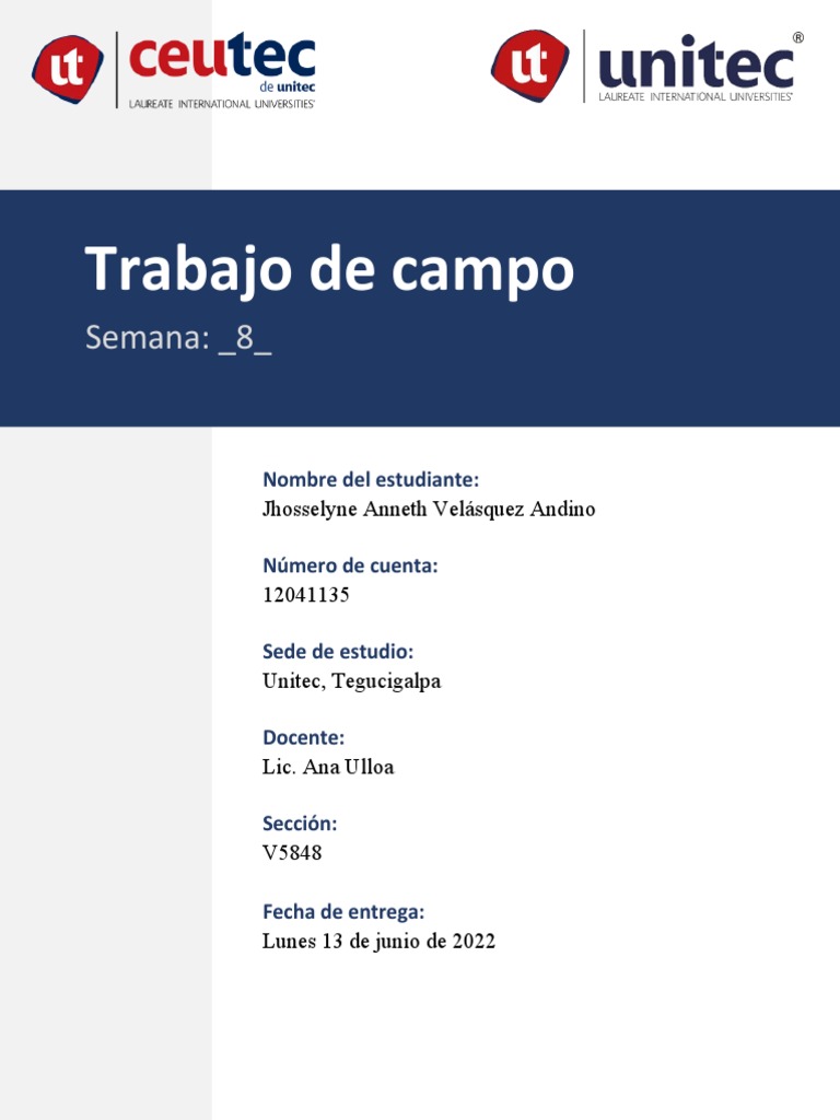 Tarea 8.1 Trabajo de Campo | PDF | Crecimiento personal y profesional