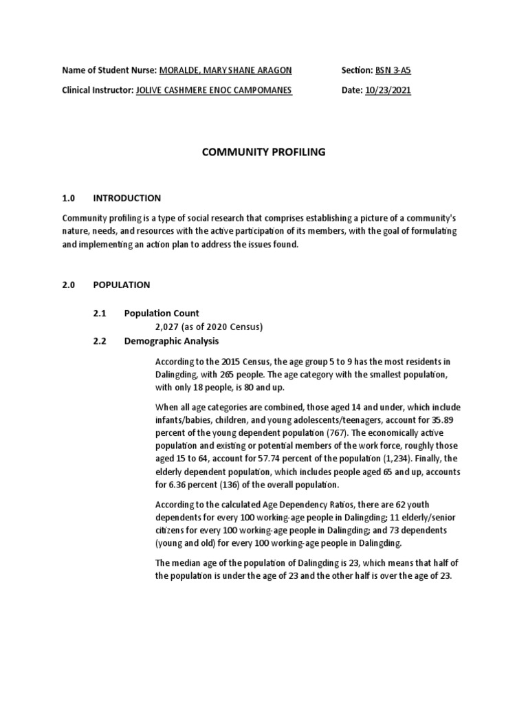 Community Profiling CHN | PDF | Employment | Community