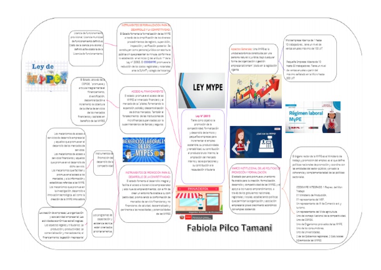 Infografía Ley 28015 de Las MYPE | PDF