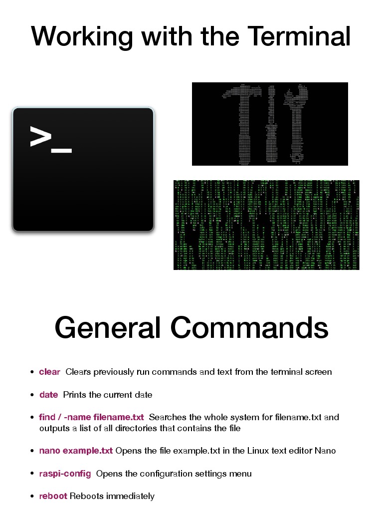 Working With The Terminal | PDF | Directory (Computing) | Filename