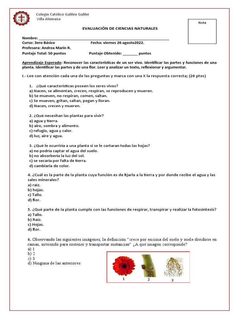 Evaluación de Ciencias Naturales: Plantas | PDF | Flores | Plantas
