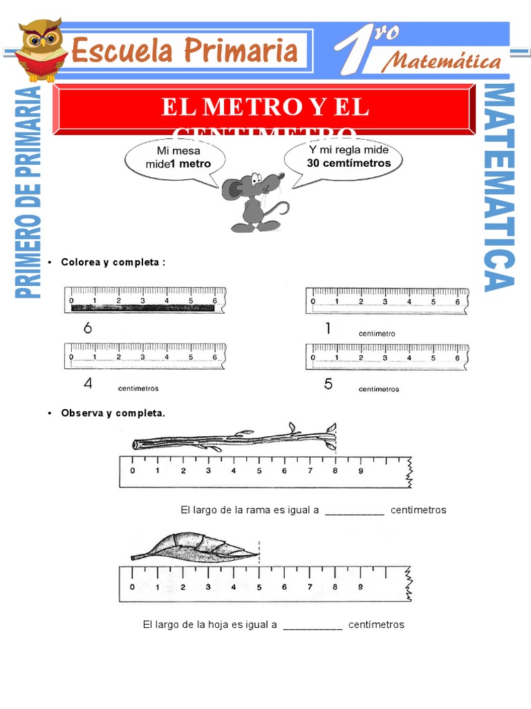 El Metro y El Centimetro para Primero de Primaria | PDF