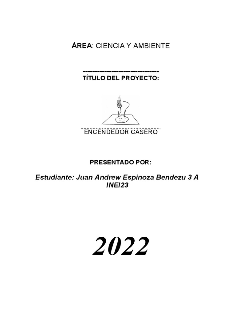 Proyecto de C.T | PDF | Educación primaria | Science