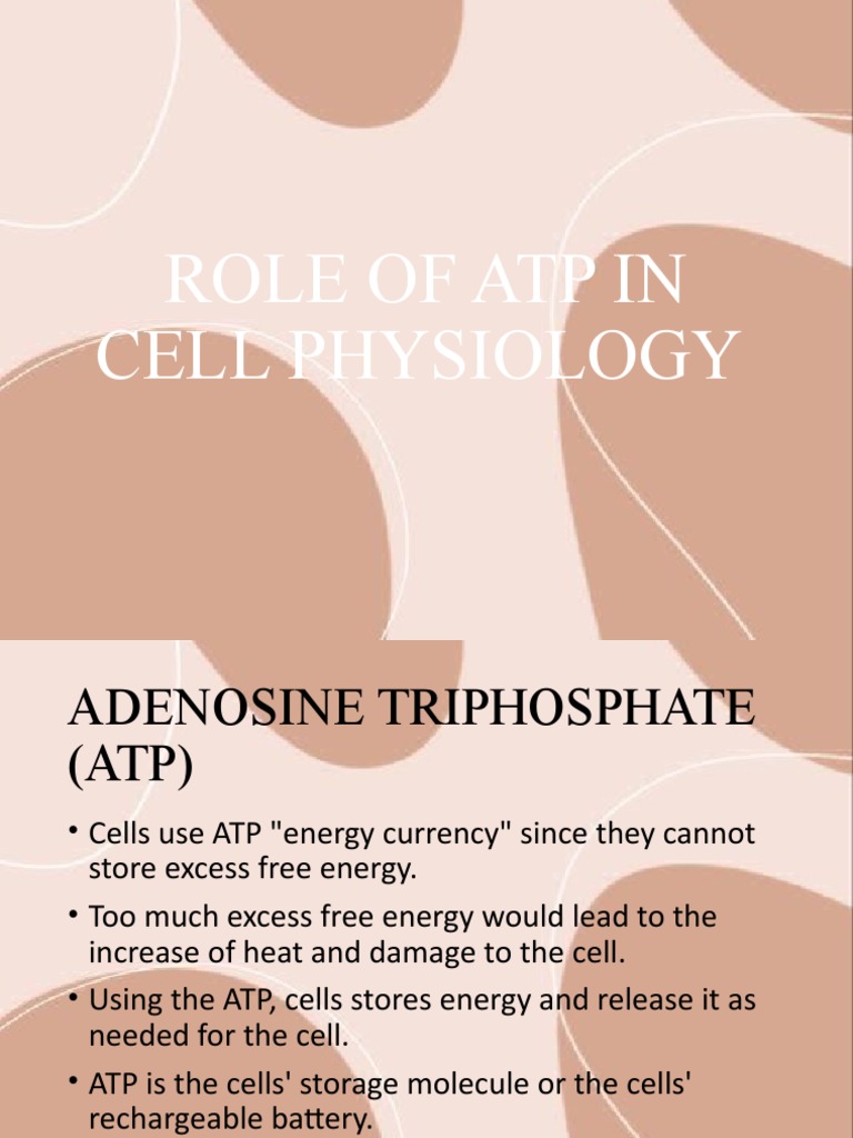 Role of Atp In-Wps Office | PDF | Adenosine Triphosphate | Adenosine ...