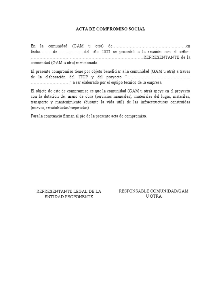 Modelo de Acta ITCP | PDF | Economias