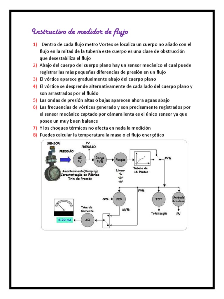 Instructivo de Medidor de Flujo | PDF