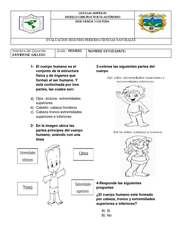 Evaluacion Ciencias Naturales - Grado 1°-Periodo 2 | PDF | Cuerpo humano