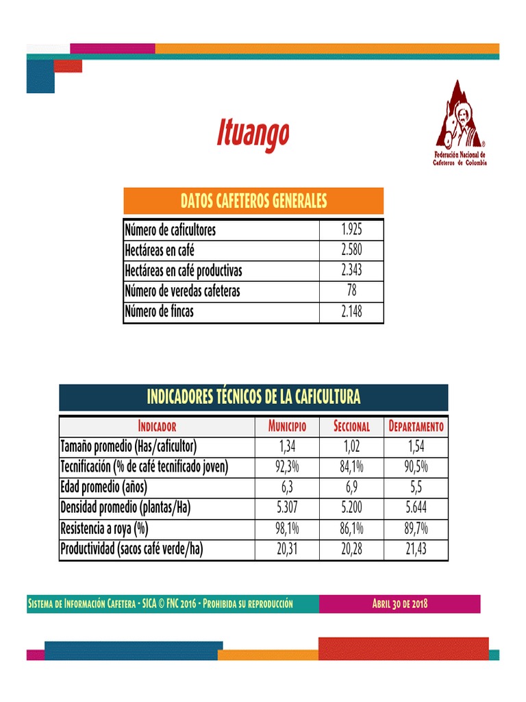 Ituango | Descargar gratis PDF | Cultivos | Comida y bebida