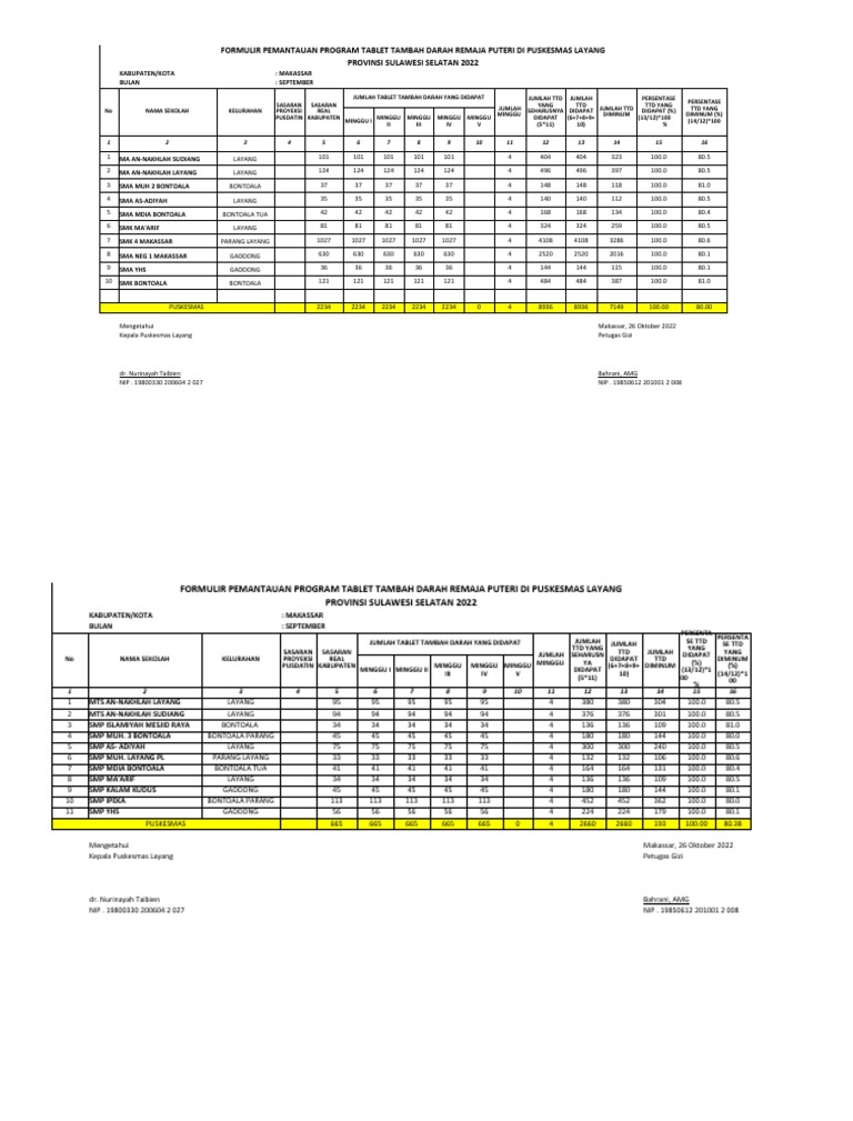 Format Laporan Ttd Puskesmas Layang 2022 Pdf