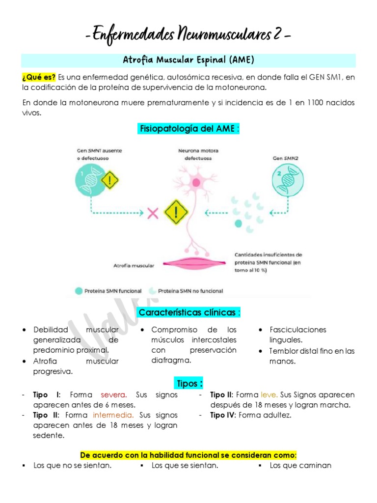 ENM2 | PDF | Sistema musculoesquelético | Enfermedades y trastornos
