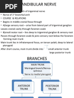Intraseptal Injection Techniques Explained | PDF | Anesthesia ...
