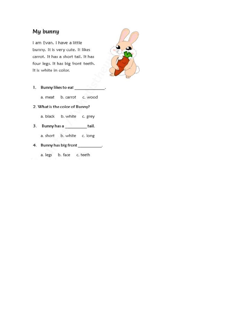 Bunny | PDF