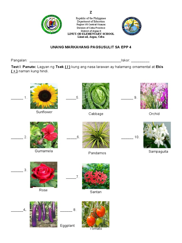 Pangalan: - Iskor | PDF