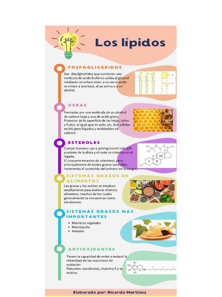 Infografía Lípidos | PDF