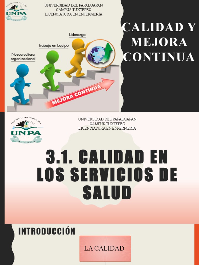 3 1 Calidad En Los Servicios De Salud Pdf Calidad Comercial