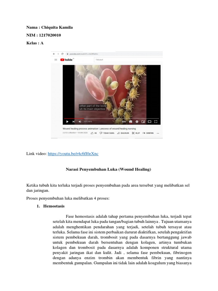 Chiquita Kamila - 1217020010 - A - WOUNDHEALING | PDF