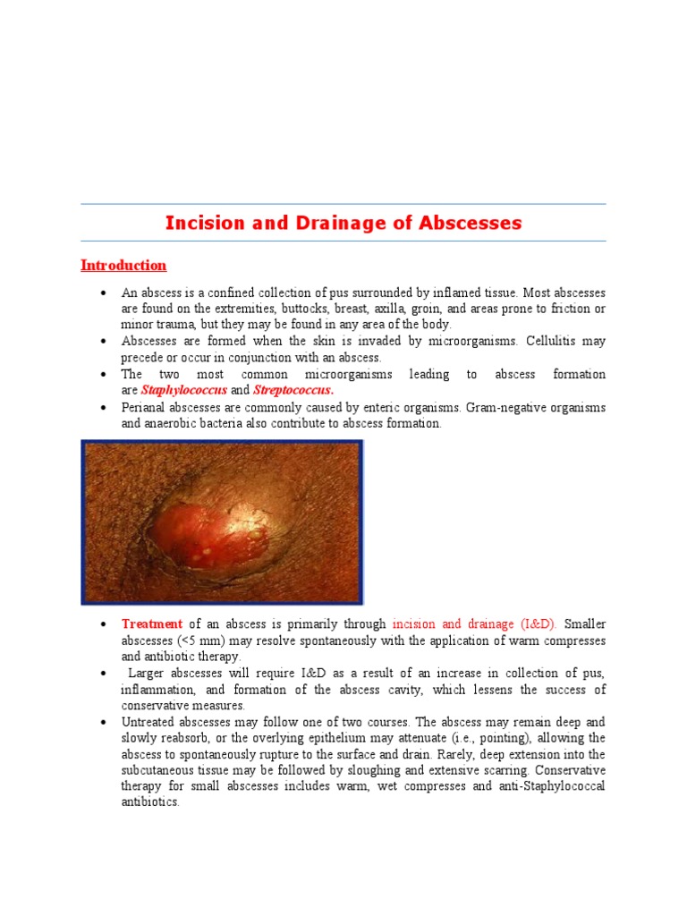 Incision & Drainage of Abscess Group 9 4b | PDF | Wound | Health Care