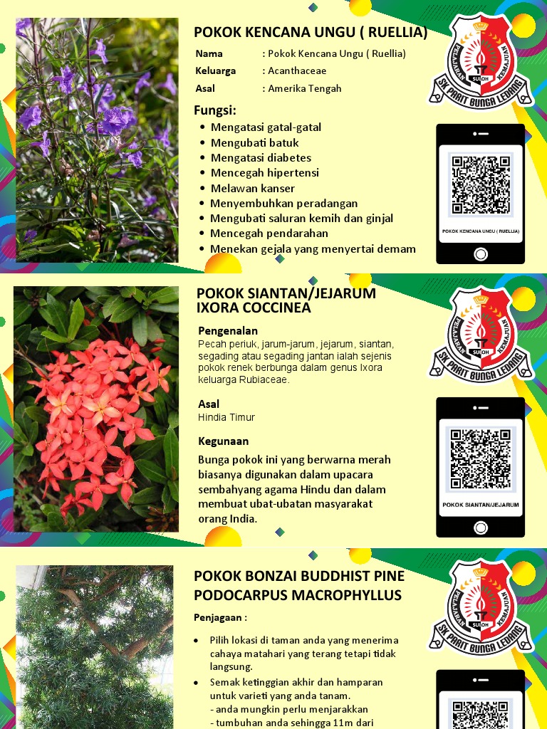 SK Parit Bunga | PDF