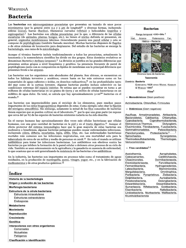 bacteria-pdf