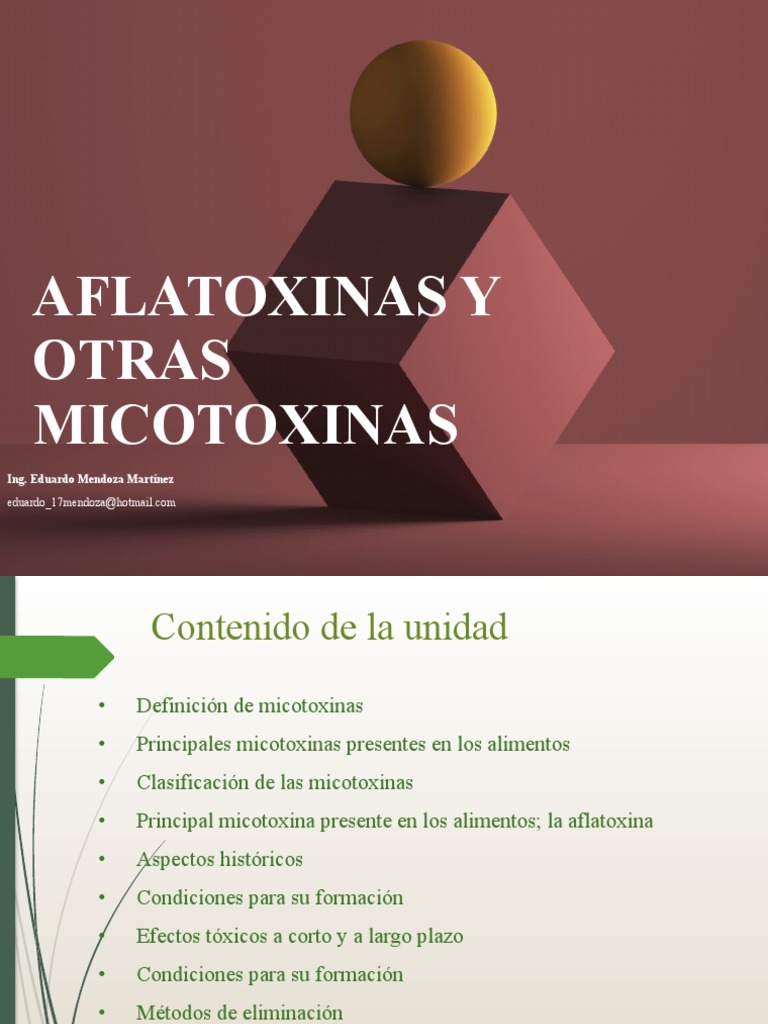 02 Aflatoxinas y Otras Microtoxinas | Descargar gratis PDF | Micotoxinas | Comida y bebida