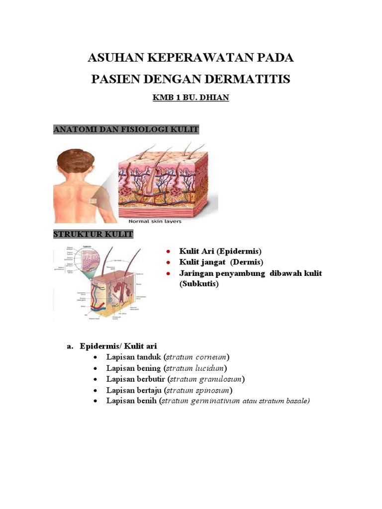 KMB Askep Dermatitis-Prin | PDF