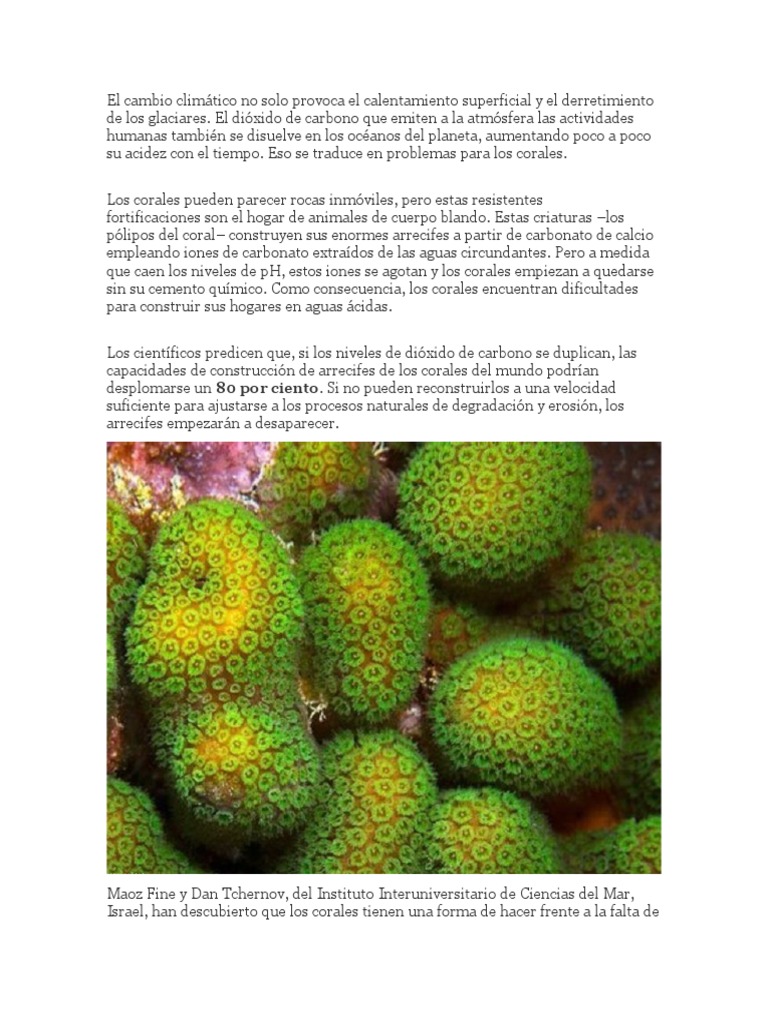 Corales y su adaptación al cambio climático | PDF | Arrecife de coral ...