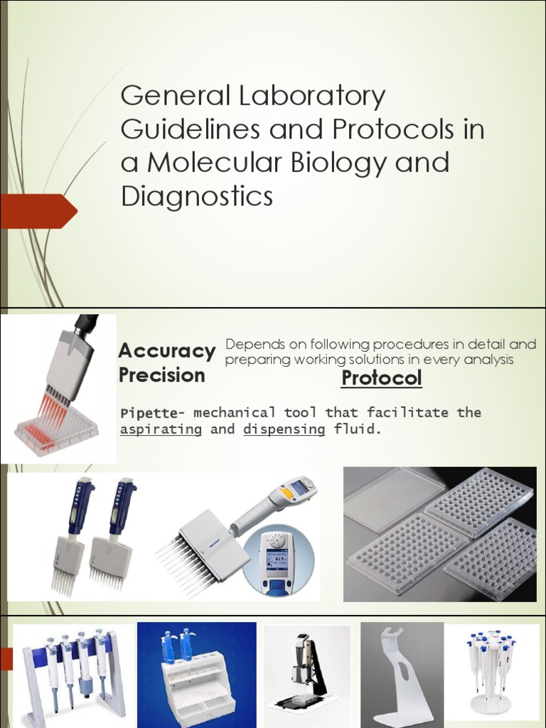 General Laboratory Guidelines and Protocols in A Molecular | PDF ...