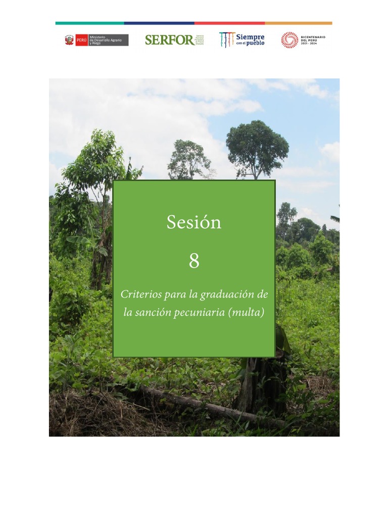 Material Informativo - Sesion 8 | PDF