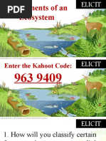 Answer Key - Symbiotic Relationships | PDF | Ecosystem | Symbiosis