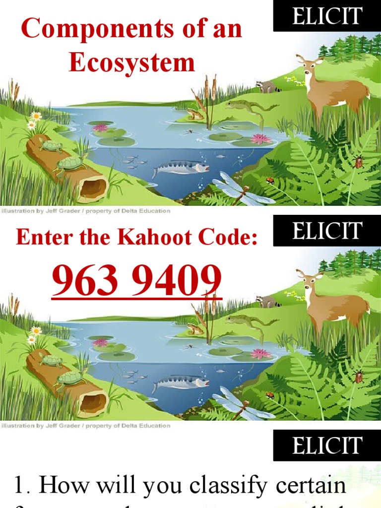 Ecological Relationships | PDF | Ecosystem | Ecology