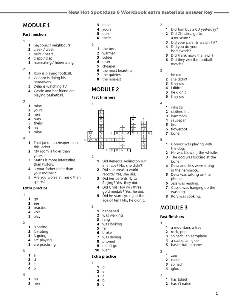 New Hot Spot Klasa 6 Workbook Extra Materials Answer Key | PDF ...