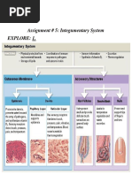Aphasia Short Term Goals Long Term Goals Evaluation Assessment WriteUp ...