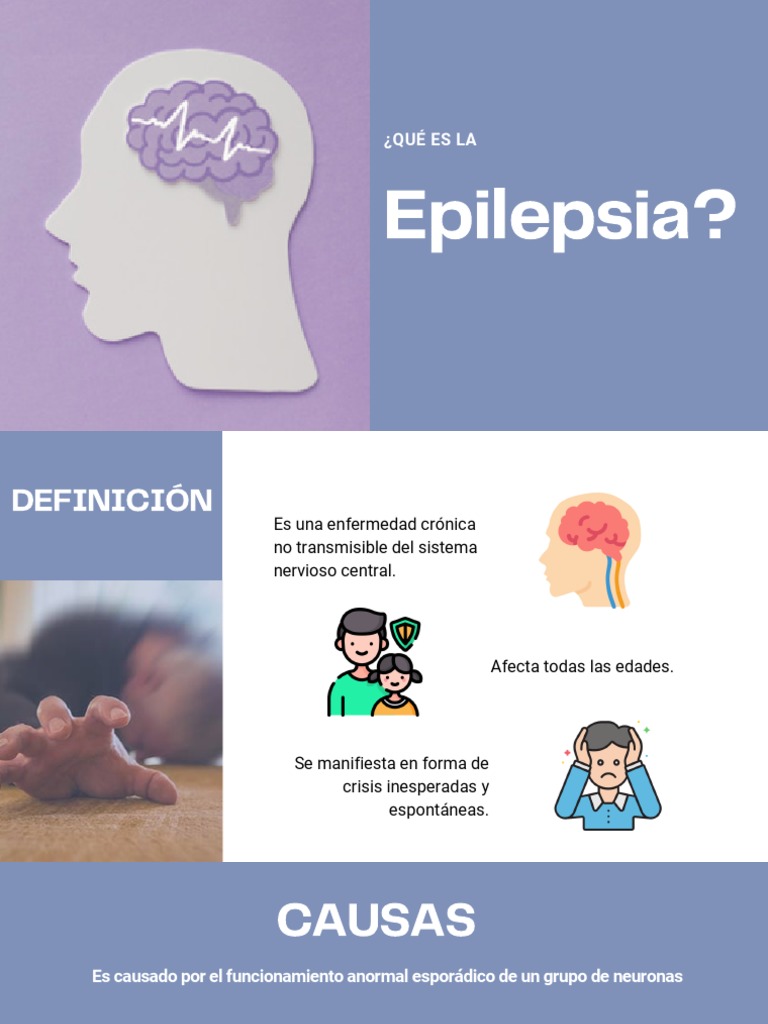 Epilepsia | PDF
