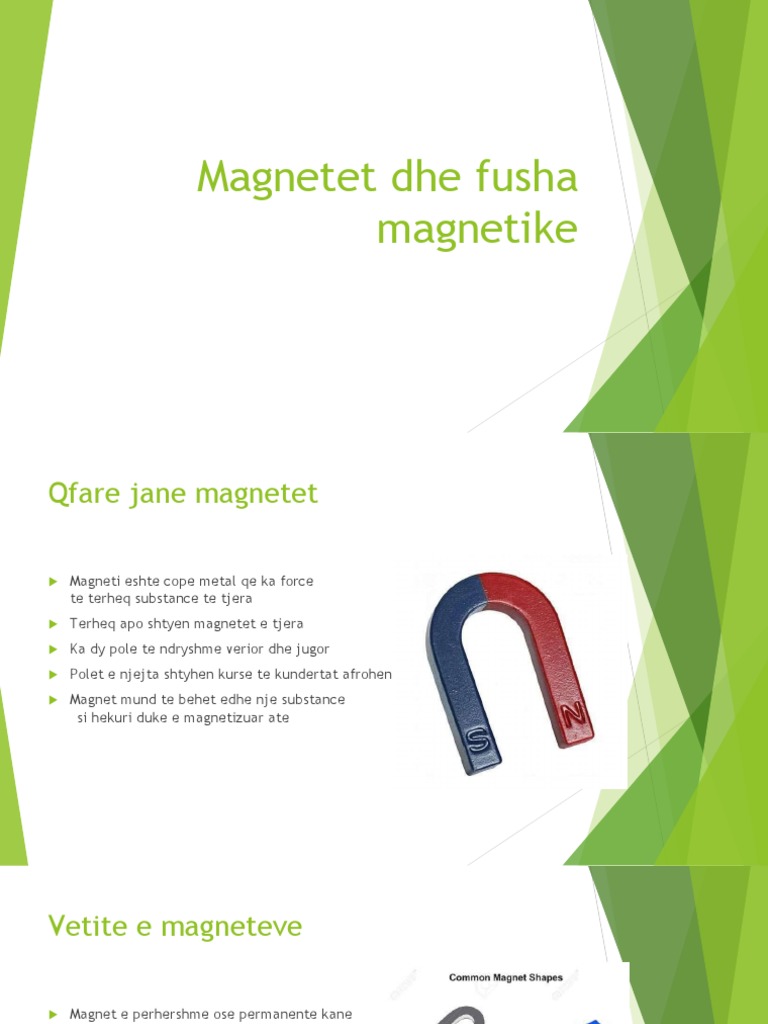 Magnetet Fizik Viti 2 | PDF