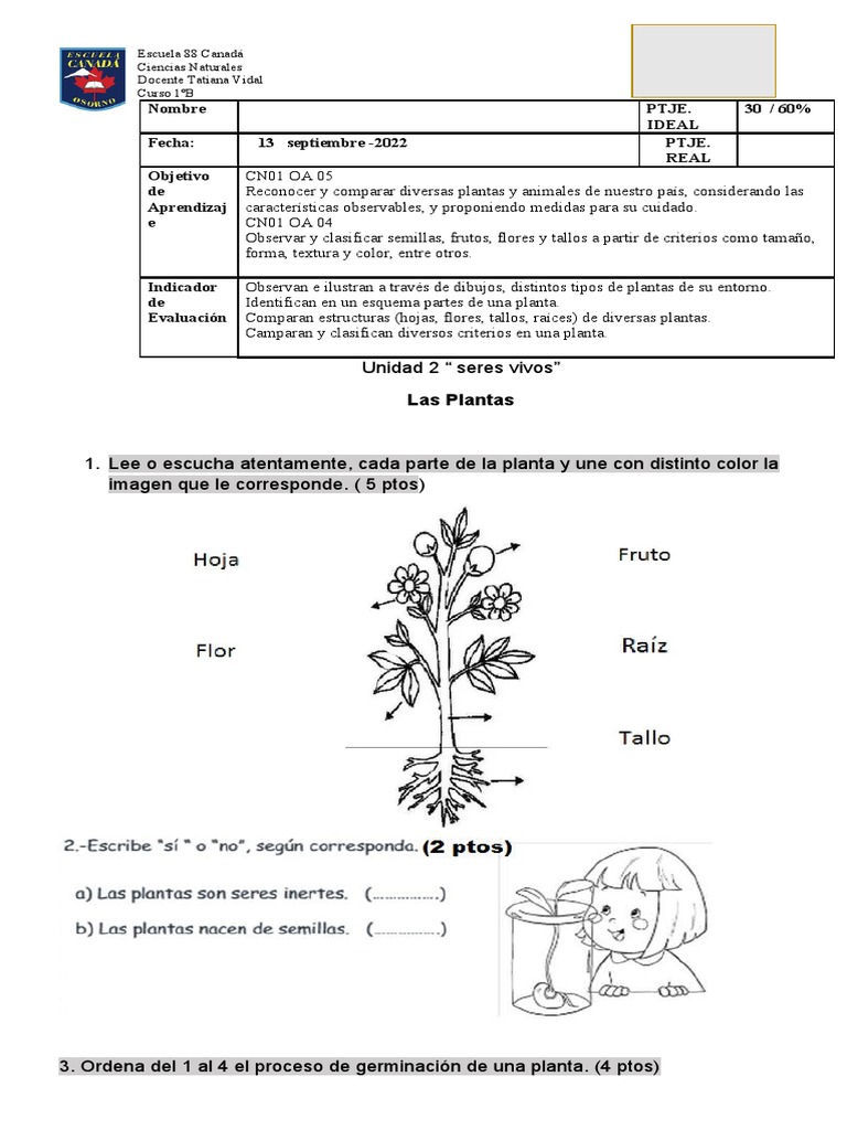 PRUEBA DE CIENCIAS NATURALES CARACT DE Las Plantas Octubre. | PDF